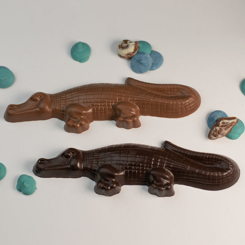 Olde Naples Chocolates | Beach, Sea & Gator Chocolates