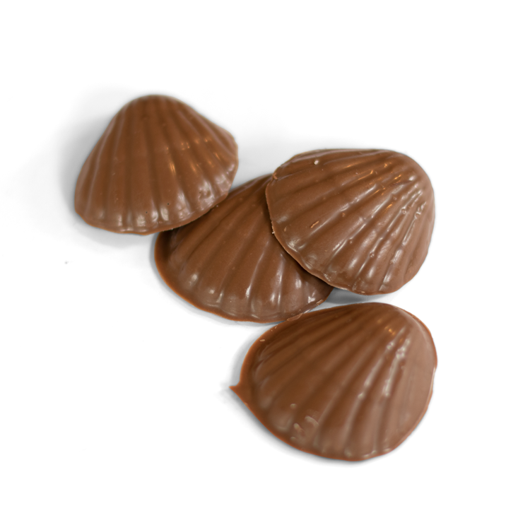 Olde Naples Chocolate | Salted Dark Chocolate Seashells 5 oz