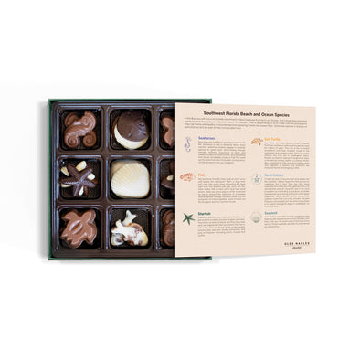 Florida Ocean Creatures Chocolate Gift Box – Olde Naples Chocolate