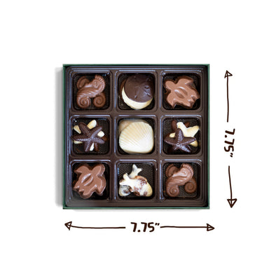 Florida Ocean Creatures Chocolate Gift Box – Olde Naples Chocolate
